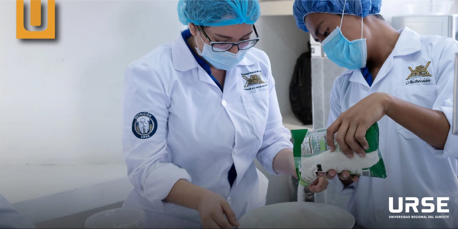 ¿Qué actividades realiza un licenciado o licenciada en Nutrición?